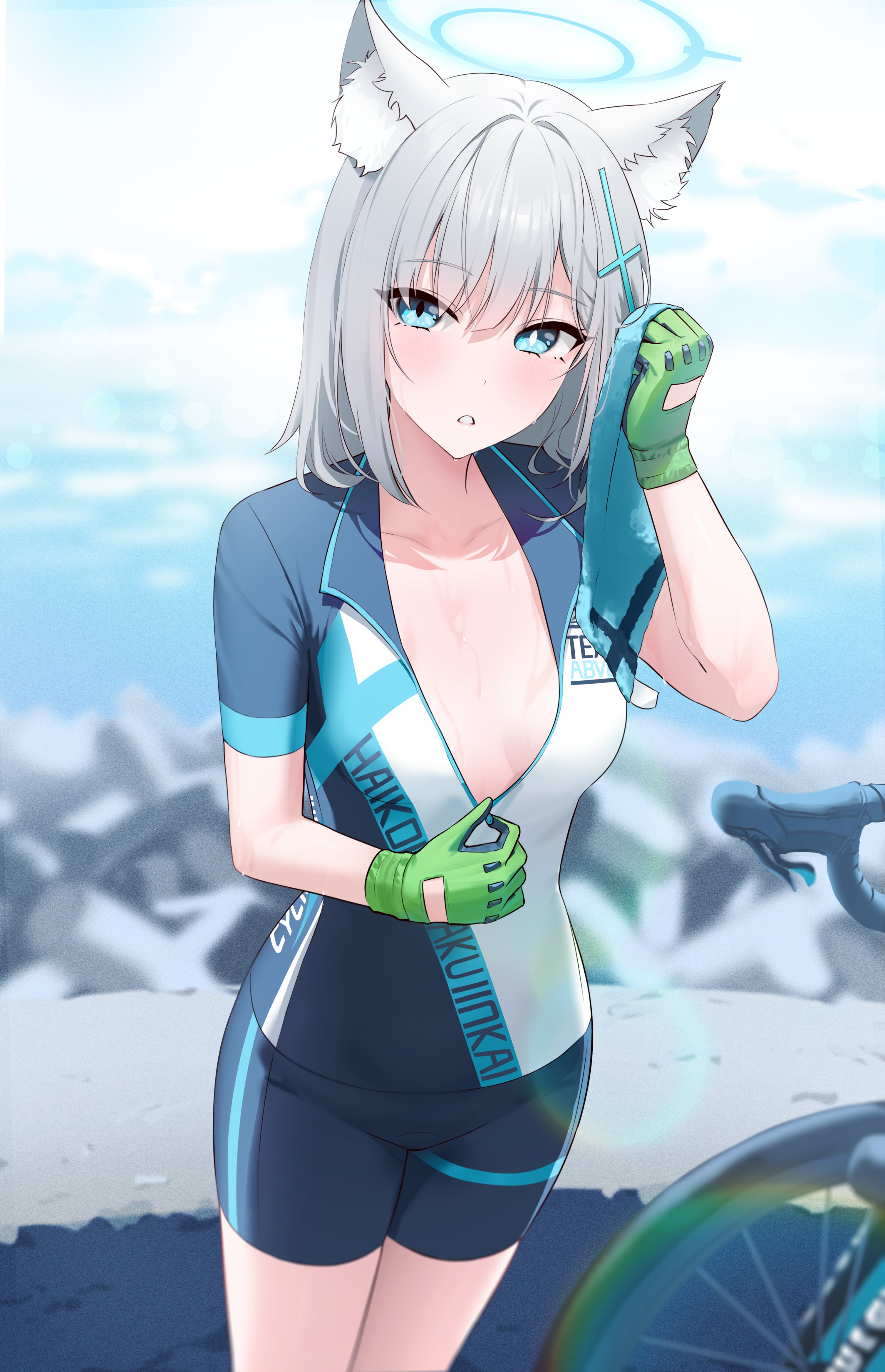 The Big ImageBoard (TBIB) - 1girl absurdres animal ear fluff animal ears bicycle bike jersey ...