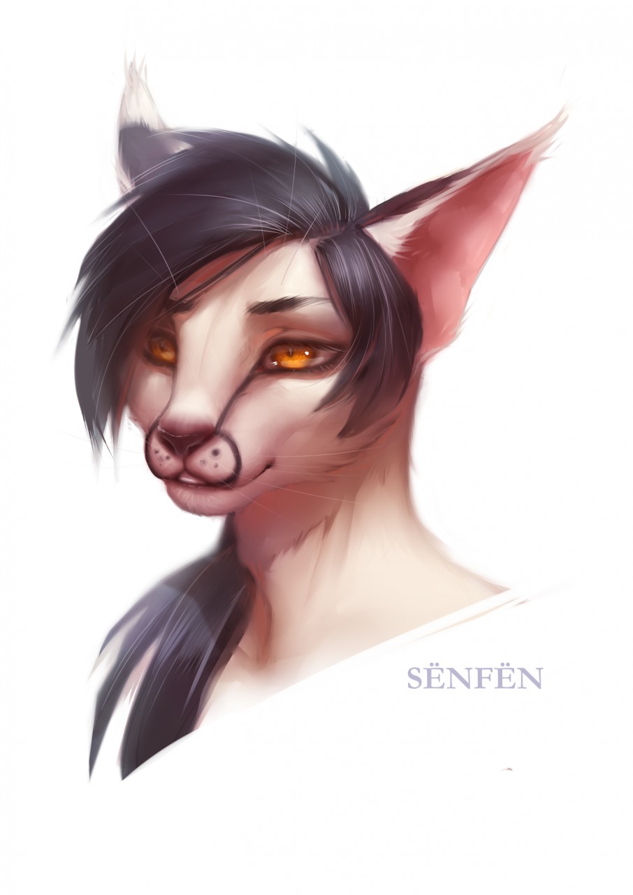 The Big ImageBoard (TBIB) - anthro black hair domestic cat eyebrows ...