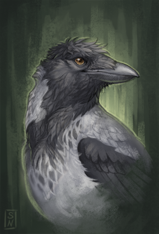 The Big Imageboard Tbib Ambiguous Gender Avian Beak Bird Black Beak