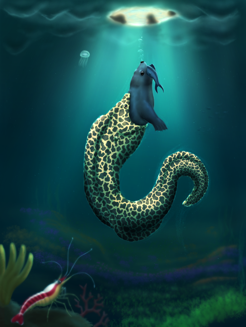 The Big Imageboard Tbib Ambiguous Gender Arthropod Crustacean Eel