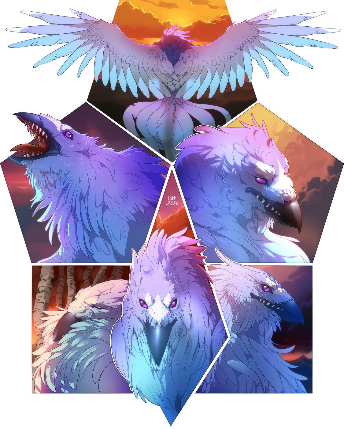 The Big ImageBoard (TBIB) - 2016 alpha channel ambiguous gender avian beak bird black beak ...