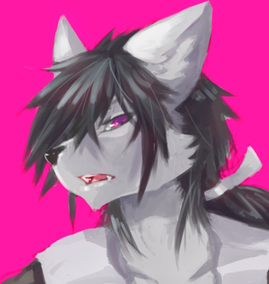 The Big ImageBoard (TBIB) - agitype01 anthro canid canine fangs fur ...