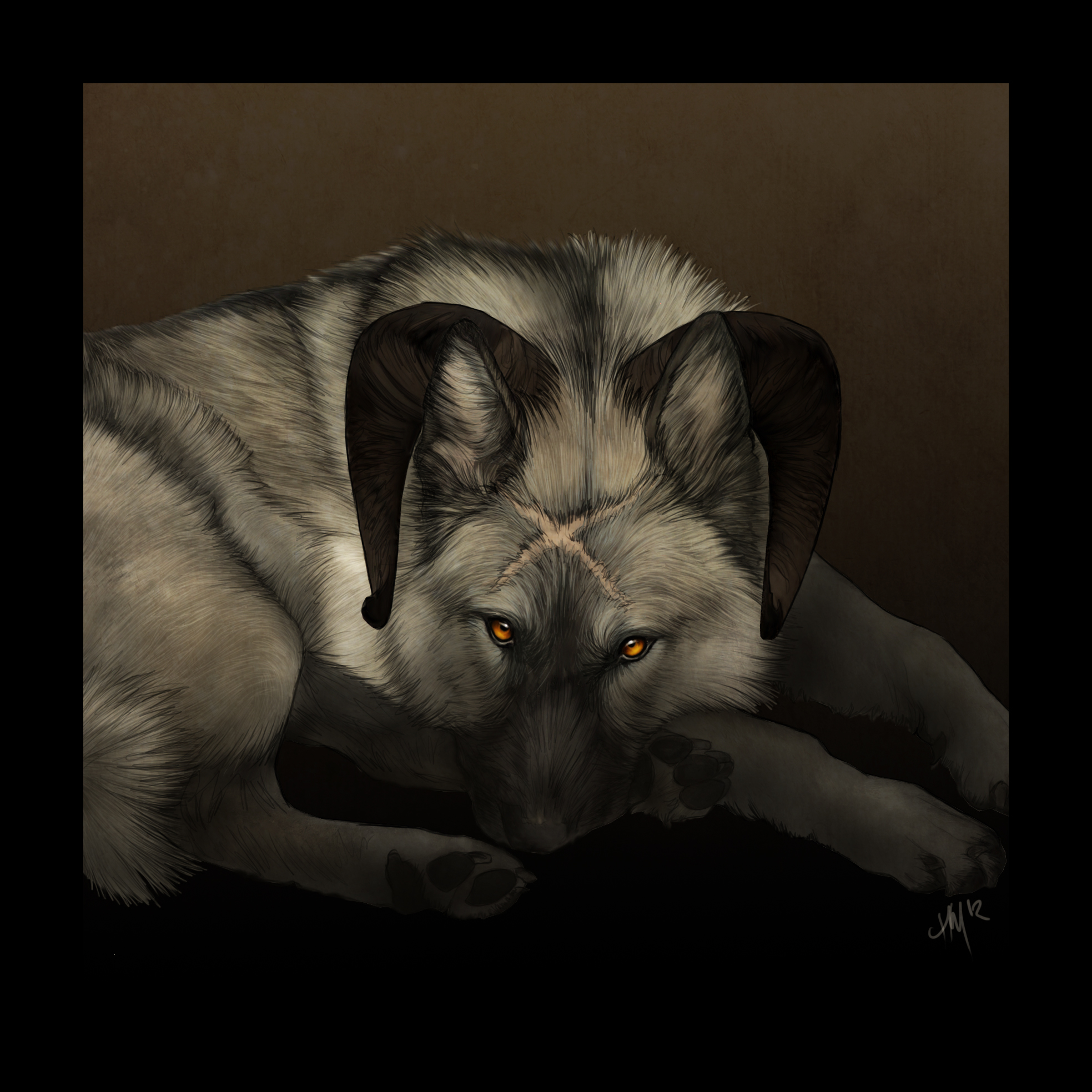 The Big ImageBoard (TBIB) - 1:1 2012 ambiguous gender black body black fur black markings black ...