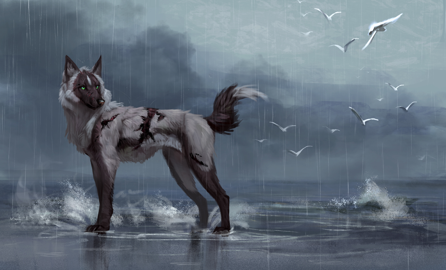 The Big ImageBoard (TBIB) - 2018 ambient bird ambient flier ambient silhouette avian bird black ...