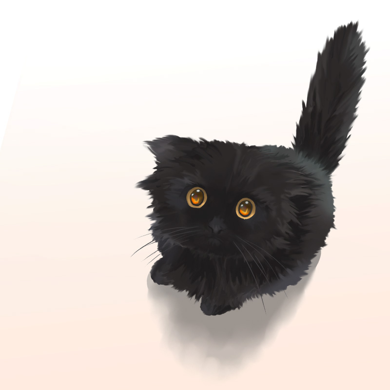 The Big ImageBoard (TBIB) - animal animal focus black cat black hair cat commentary request ...