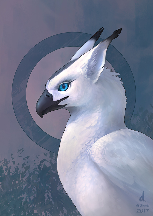 The Big ImageBoard (TBIB) - 2017 ambiguous gender avian beak bird black beak blue eyes blue ...