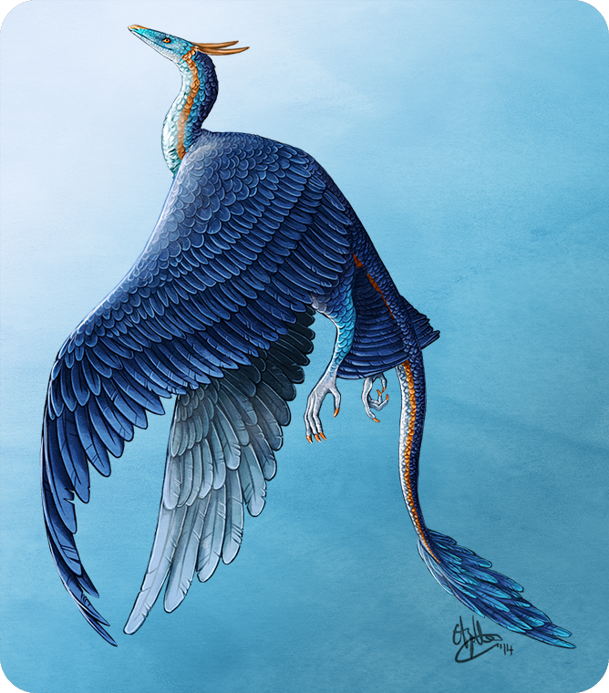 The Big ImageBoard (TBIB) - 2014 ambiguous gender athelo avian blue feathers claws digital media ...