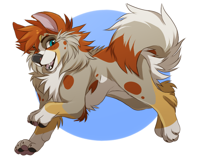 The Big ImageBoard (TBIB) - 2017 black nose blue eyes brown fur canine digital media (artwork ...