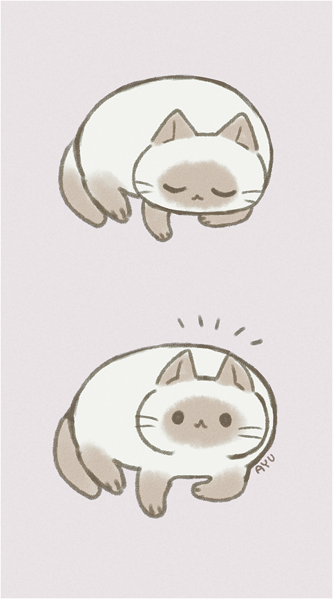 The Big ImageBoard (TBIB) - ayu (mog) cat cat focus closed mouth grey ...