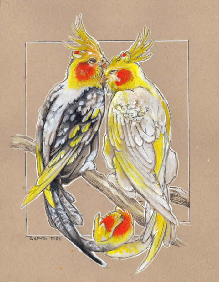 The Big ImageBoard (TBIB) - 2024 ambiguous gender avian bird black body black feathers black fur ...