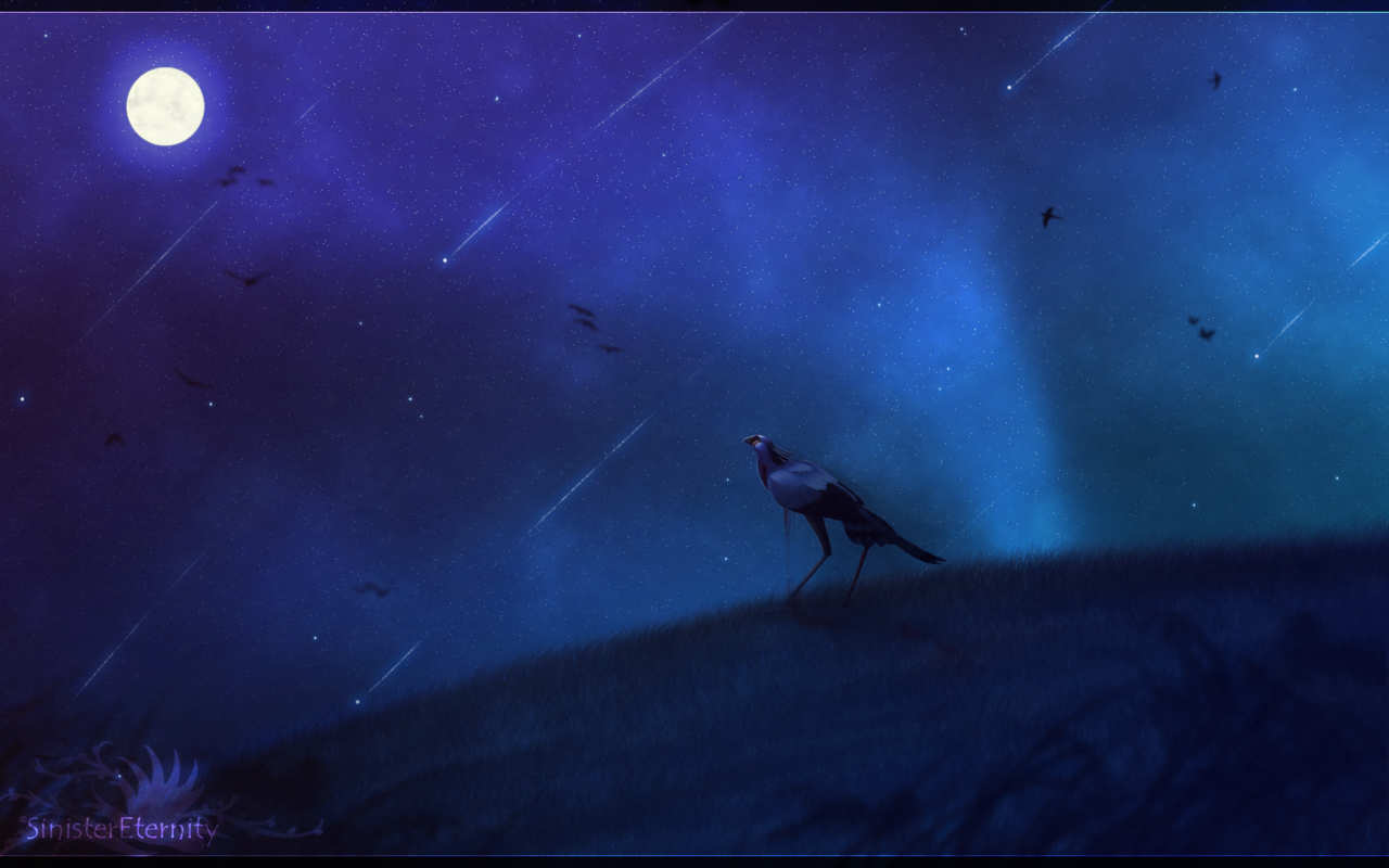 The Big ImageBoard (TBIB) - 16:10 2012 accipitriform avian avian feet bird black bars detailed ...