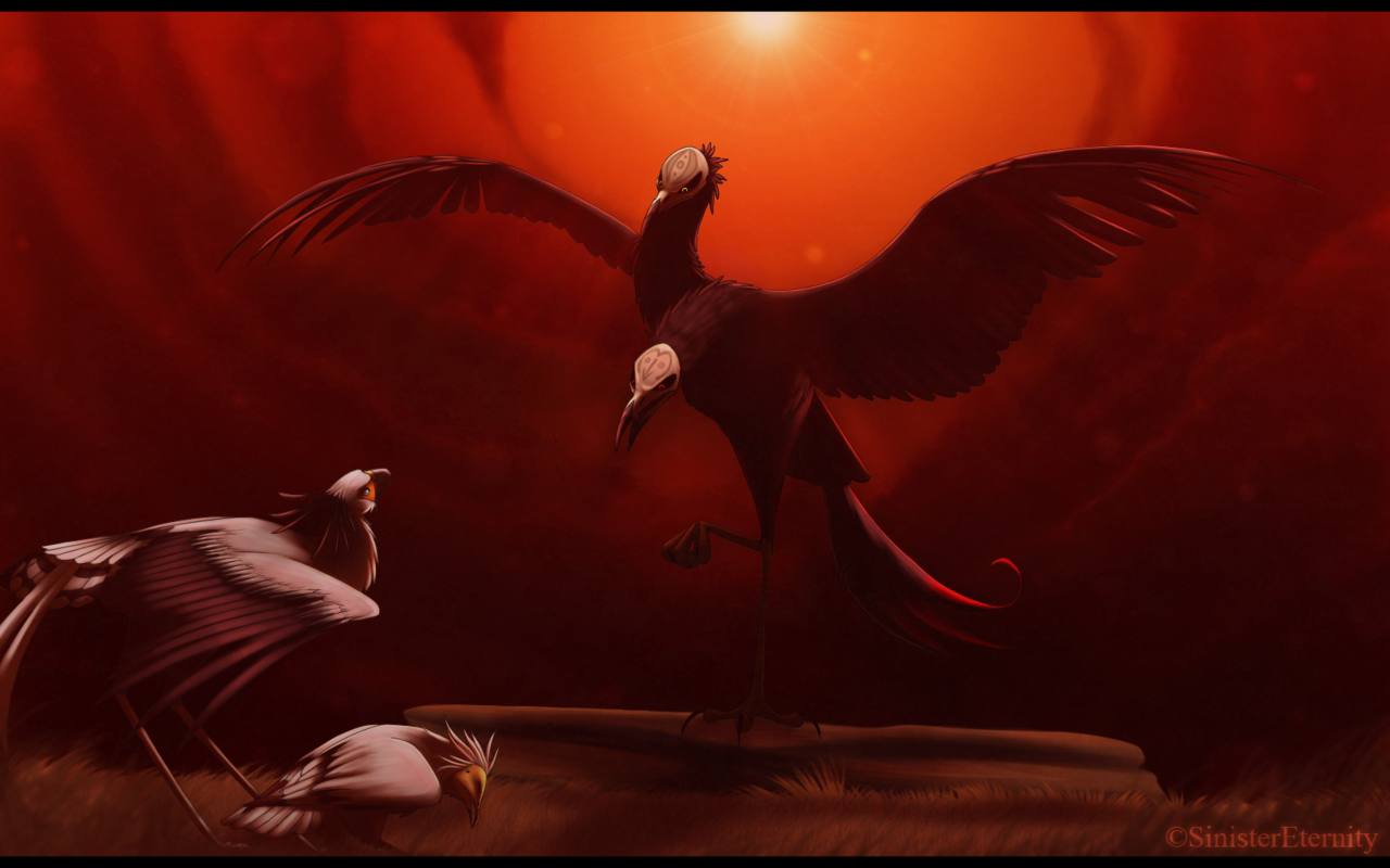 The Big ImageBoard (TBIB) - 16:10 2012 4 toes accipitrid accipitriform anisodactyl avian avian ...