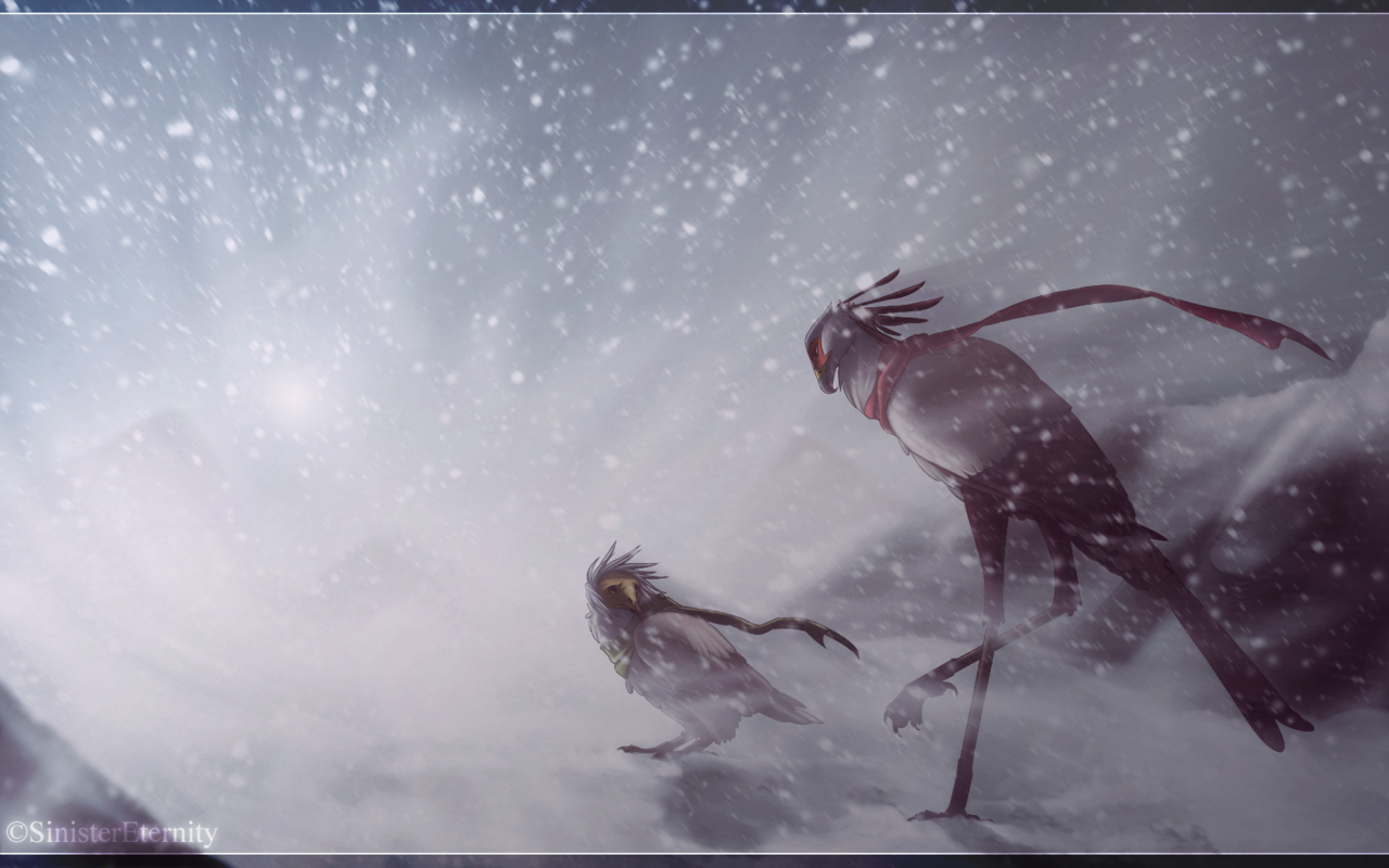 The Big ImageBoard (TBIB) - 16:10 2012 4 toes accipitrid accipitriform anisodactyl avian avian ...