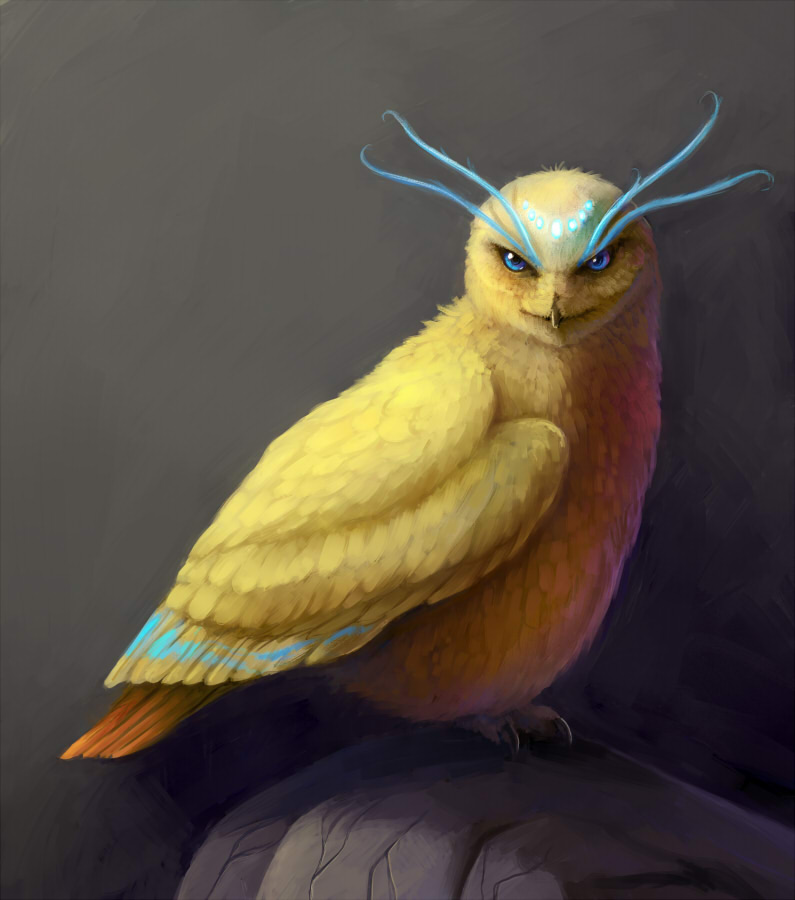 The Big Imageboard Tbib 2012 Ambiguous Gender Avian Bird Blue Eyes