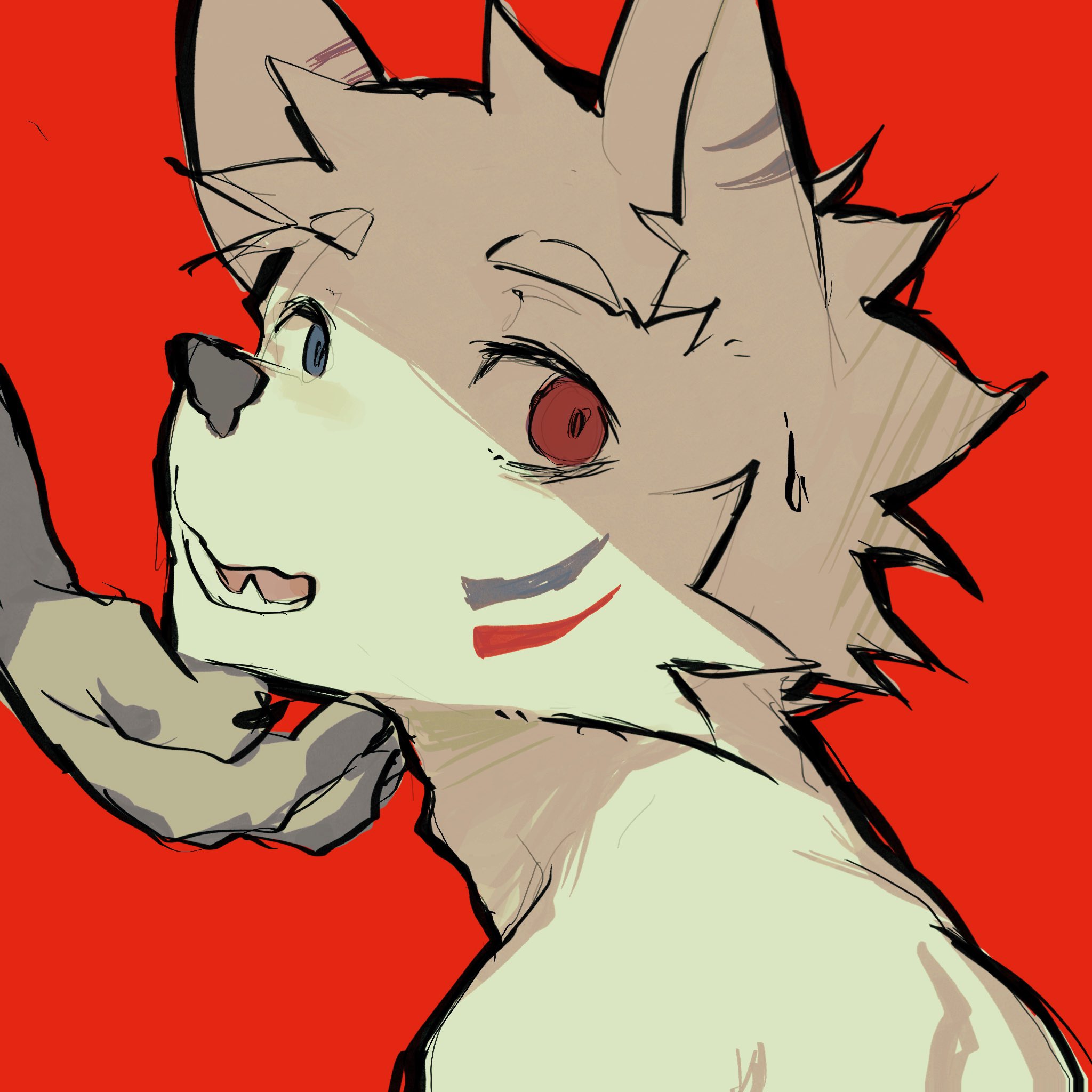 The Big Imageboard Tbib 1 1 2024 Anthro Biped Blue Eyes Canid