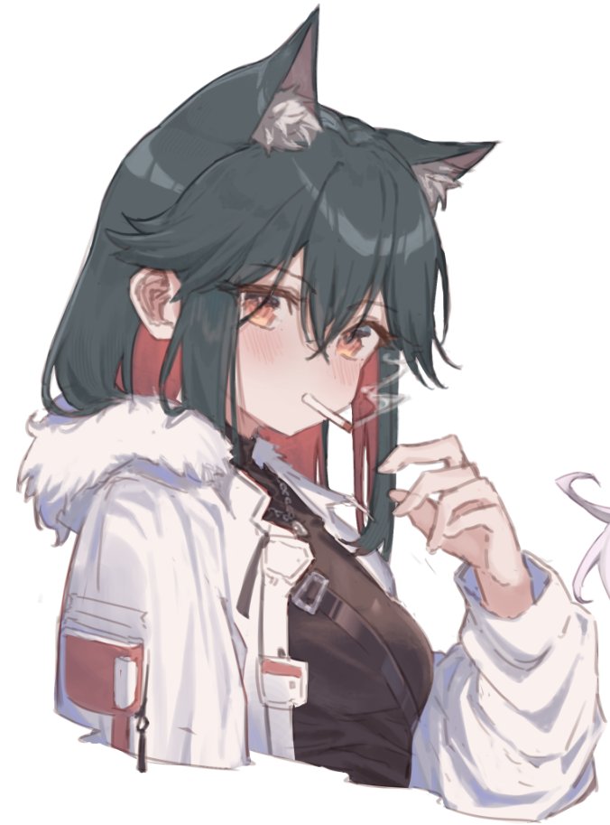 The Big ImageBoard (TBIB) - 1girl animal ear fluff animal ears arknights black hair blush brown ...