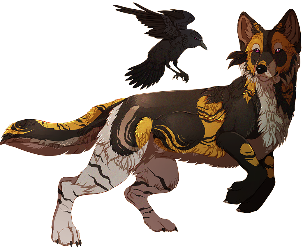 The Big ImageBoard (TBIB) - 2014 alpha channel ambiguous gender avian beak bird black body black ...