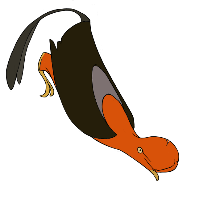 The Big ImageBoard (TBIB) - 2013 2 toes ambiguous gender andean cock-of-the-rock avian beak bent ...