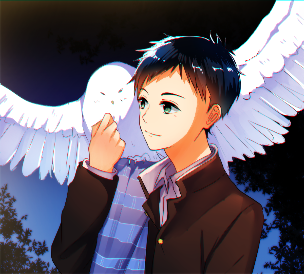 The Big ImageBoard (TBIB) - 1boy animal animal on shoulder bird bird on ...