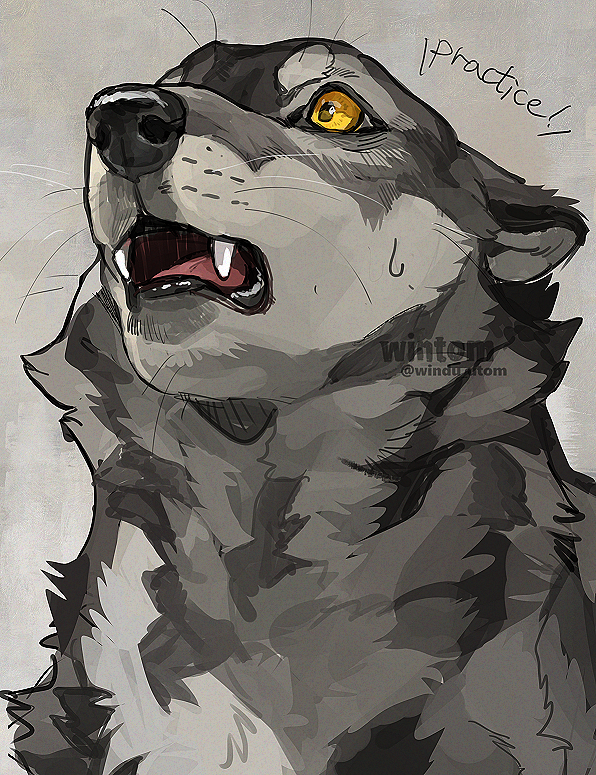 The Big ImageBoard (TBIB) - 2024 black lips black nose canid canine canis digital media (artwork ...