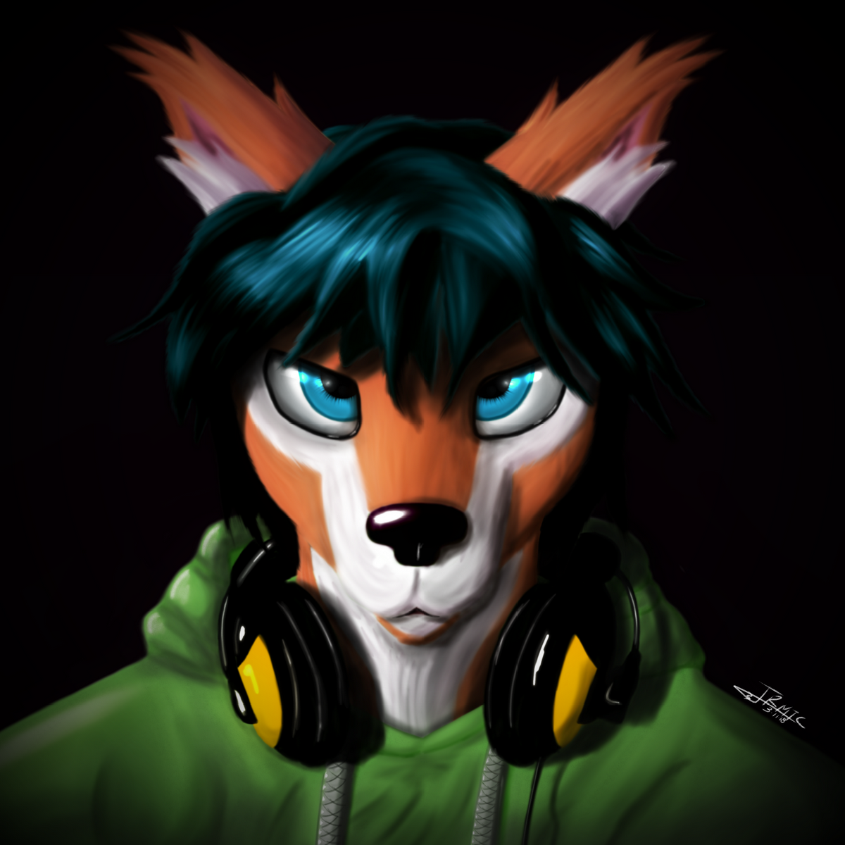 The Big ImageBoard (TBIB) - 1:1 2018 anthro blue eyes canid canine ...