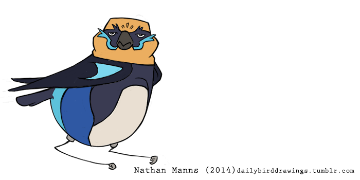 The Big ImageBoard (TBIB) - 2014 ambiguous gender avian beak biped bird black eyes black ...