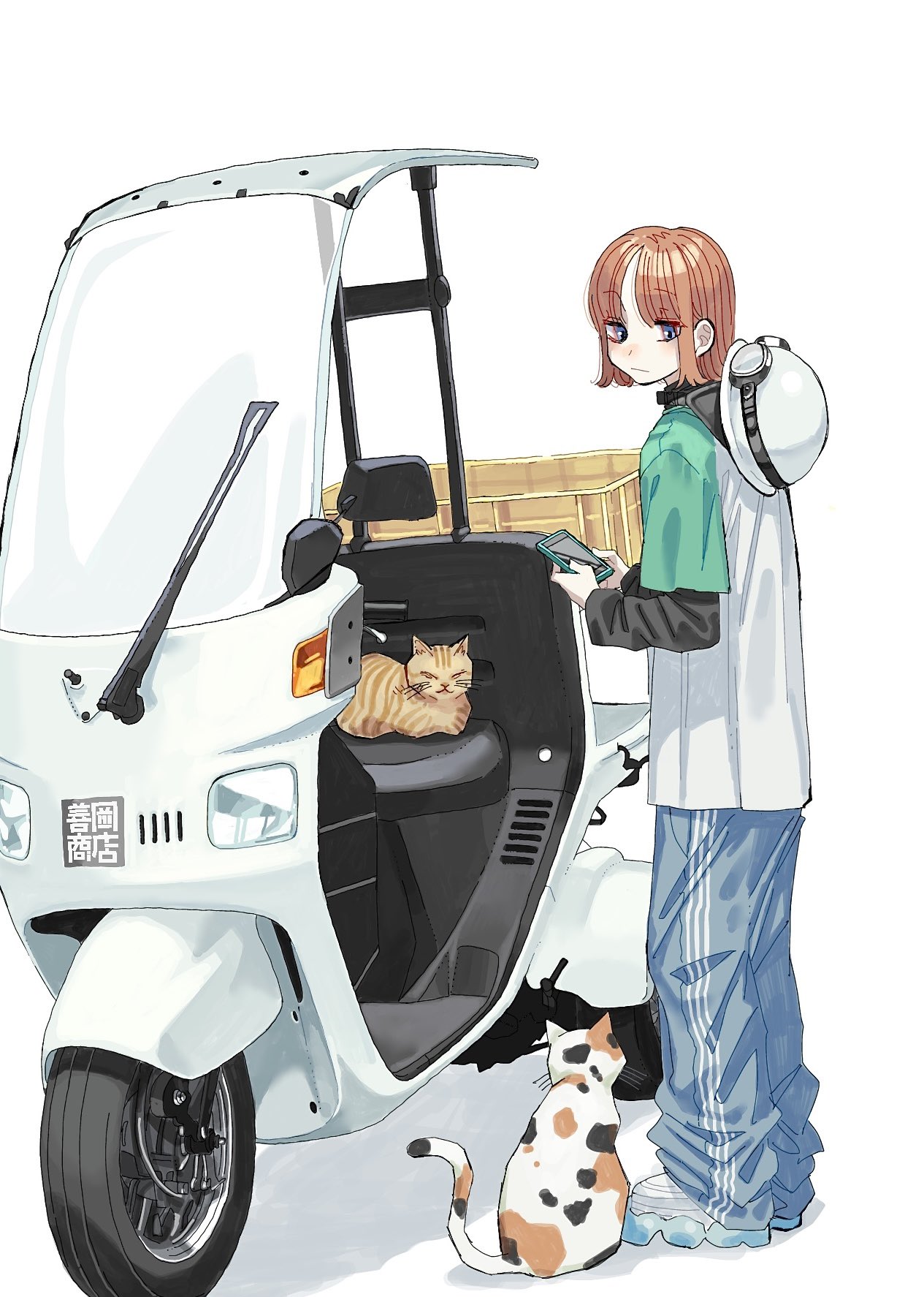 The Big ImageBoard (TBIB) - 1girl animal blue eyes blue pants calico ...