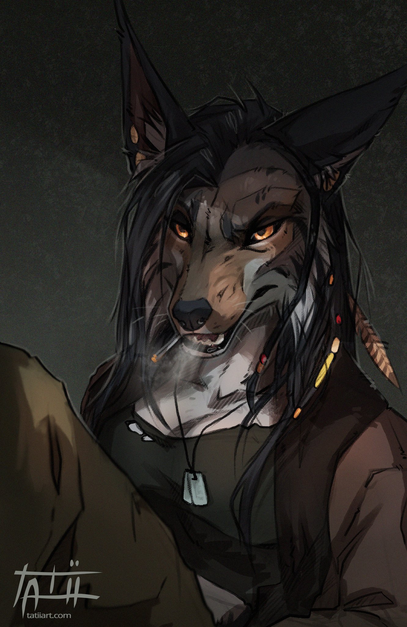 The Big ImageBoard (TBIB) - 2019 anthro black hair black lips black nose canid canine digital ...