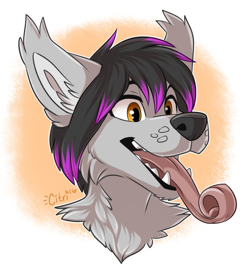 The Big ImageBoard (TBIB) - 2016 black hair black nose brown eyes canid canine citrinelle ...