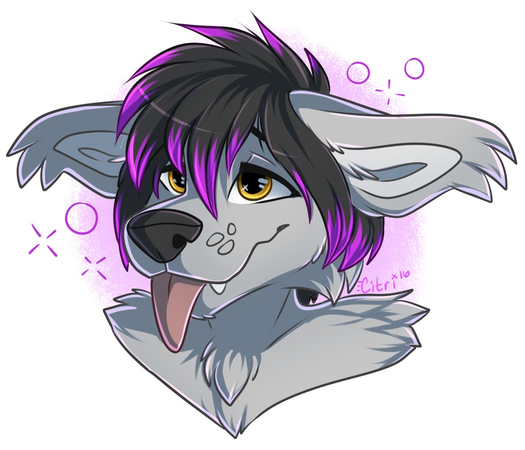 The Big ImageBoard (TBIB) - 2016 black hair black nose canid canine citrinelle digital media ...