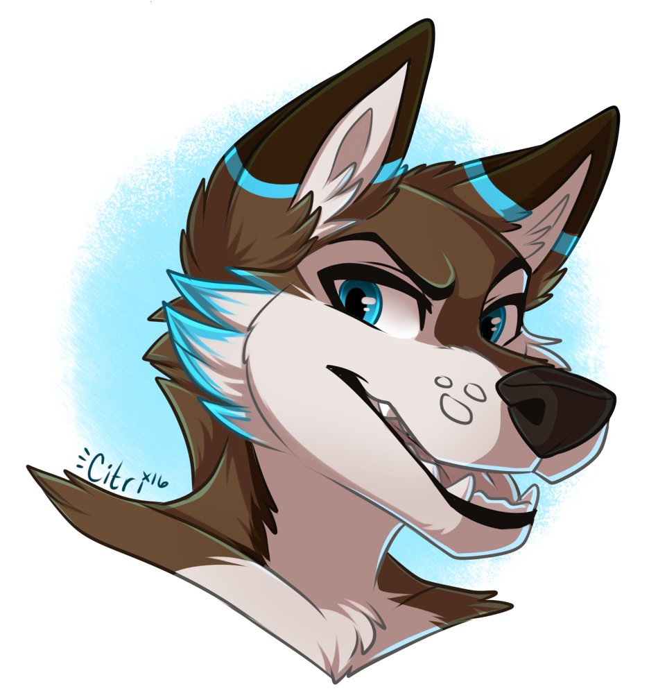 The Big ImageBoard (TBIB) - 2016 anthro black lips blue eyes brown body brown fur canid canine ...