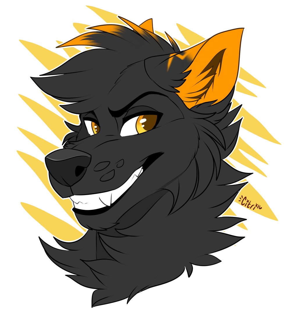 The Big ImageBoard (TBIB) - 2016 black fur black lips black nose canid canine canis citrinelle ...