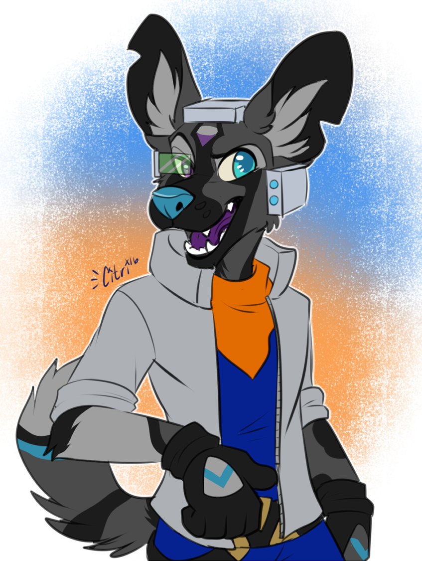 The Big ImageBoard (TBIB) - 2016 african wild dog anthro blue eyes canid canine citrinelle ...