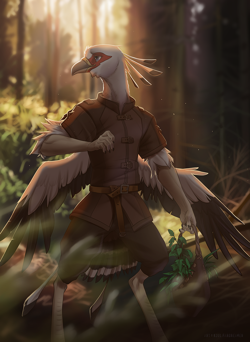 The Big Imageboard Tbib 2019 Accipitriform Anthro Avian Avian Arms