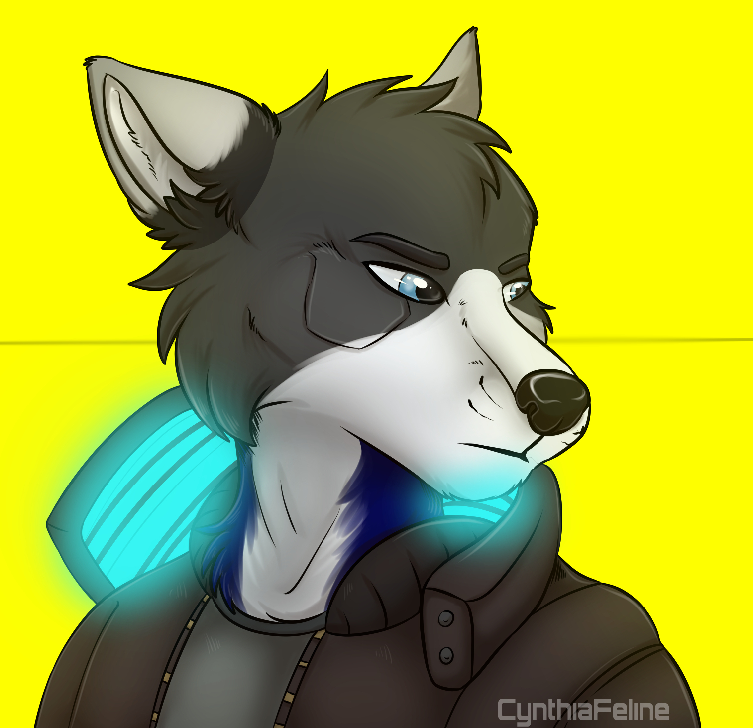 The Big ImageBoard (TBIB) - anthro black clothing black jacket black topwear blue body blue fur ...