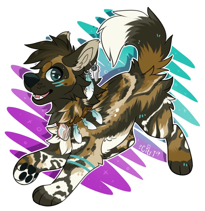 The Big ImageBoard (TBIB) - 2017 african wild dog black nose blue eyes brown hair canid canine ...