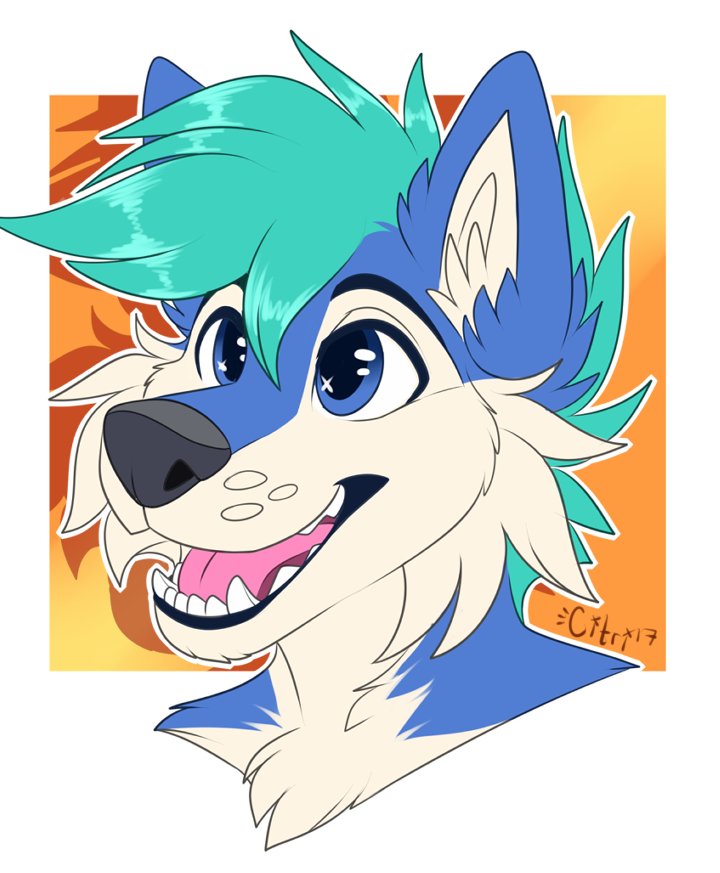 The Big ImageBoard (TBIB) - 2017 anthro black nose blue hair blue nose canid canine citrinelle ...