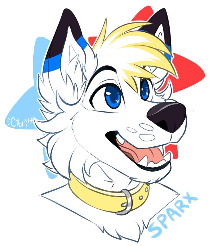 The Big ImageBoard (TBIB) - 2017 black lips black nose blue eyes canid canine canis citrinelle ...