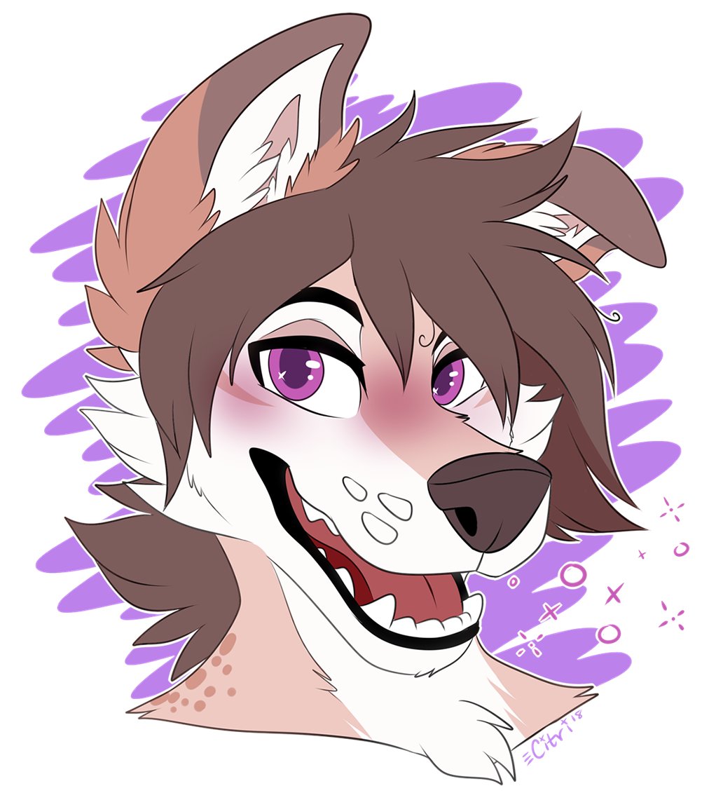 The Big ImageBoard (TBIB) - 2018 black lips brown fur brown nose canid canine canis citrinelle ...