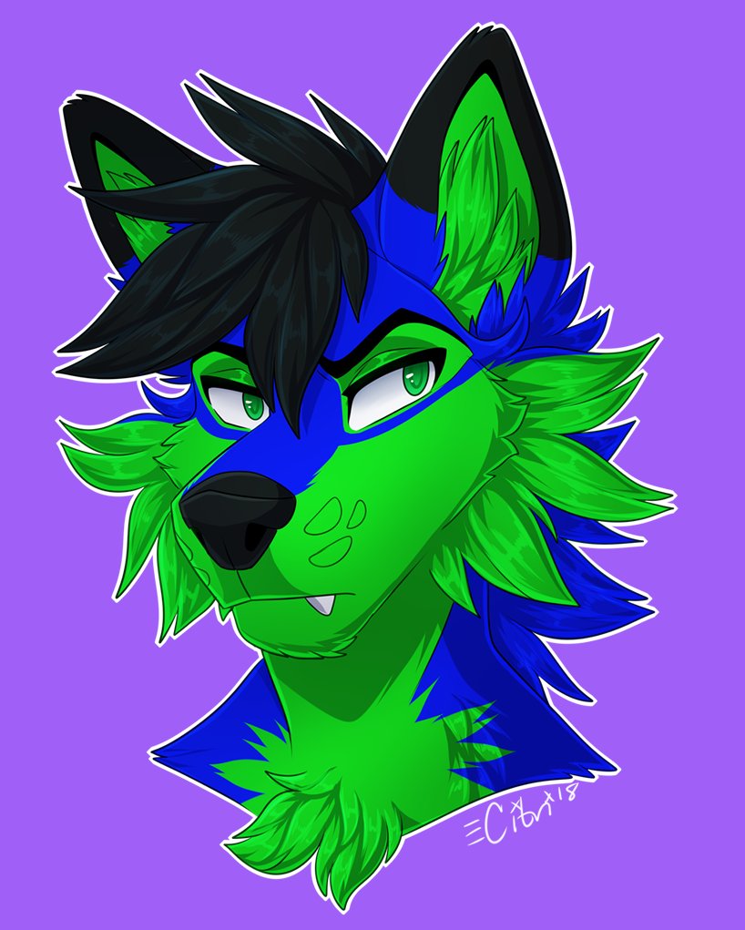 The Big Imageboard Tbib 2018 Black Hair Black Nose Blue Fur Canid