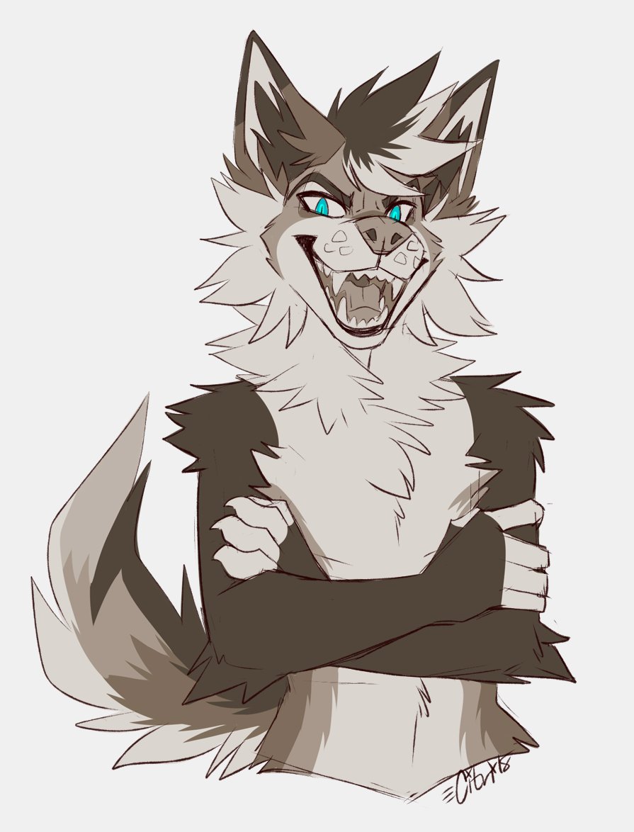 The Big ImageBoard (TBIB) - 2018 anthro blue eyes canid canine canis citrinelle digital media ...