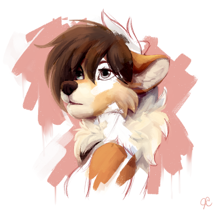 The Big ImageBoard (TBIB) - 2019 brown hair brown nose canid canine digital media (artwork) hair ...