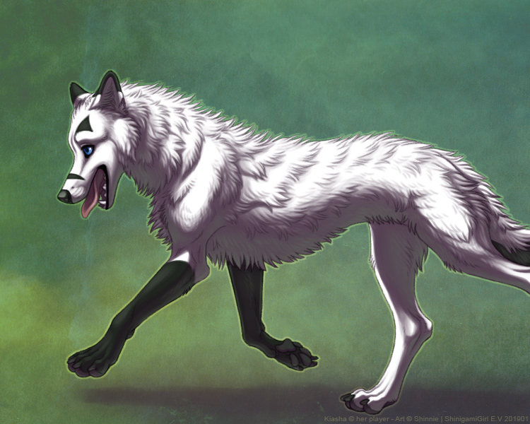 The Big ImageBoard (TBIB) - 2019 5:4 ambiguous gender black lips black nose blue eyes canid ...