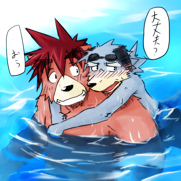 The Big ImageBoard (TBIB) - 1:1 2010 anthro bear belly blush canid canine canis domestic dog duo ...