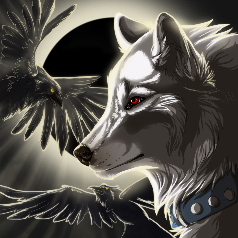 The Big Imageboard Tbib 1 1 2012 Ambiguous Gender Avian Beak Bird