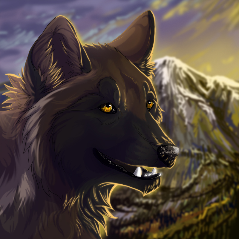 The Big ImageBoard (TBIB) - 1:1 2011 black lips black nose brown body brown eyes brown fur canid ...