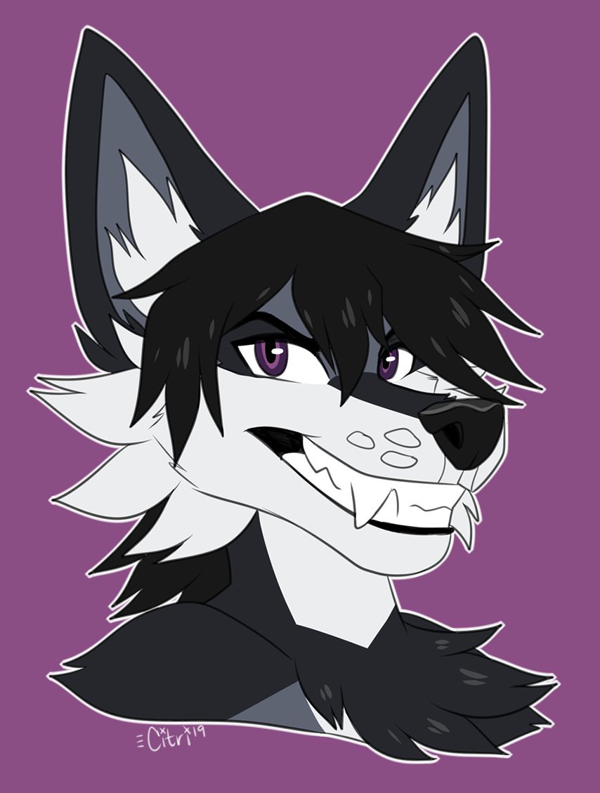 The Big ImageBoard (TBIB) - 2019 black hair black nose canid canine citrinelle digital media ...