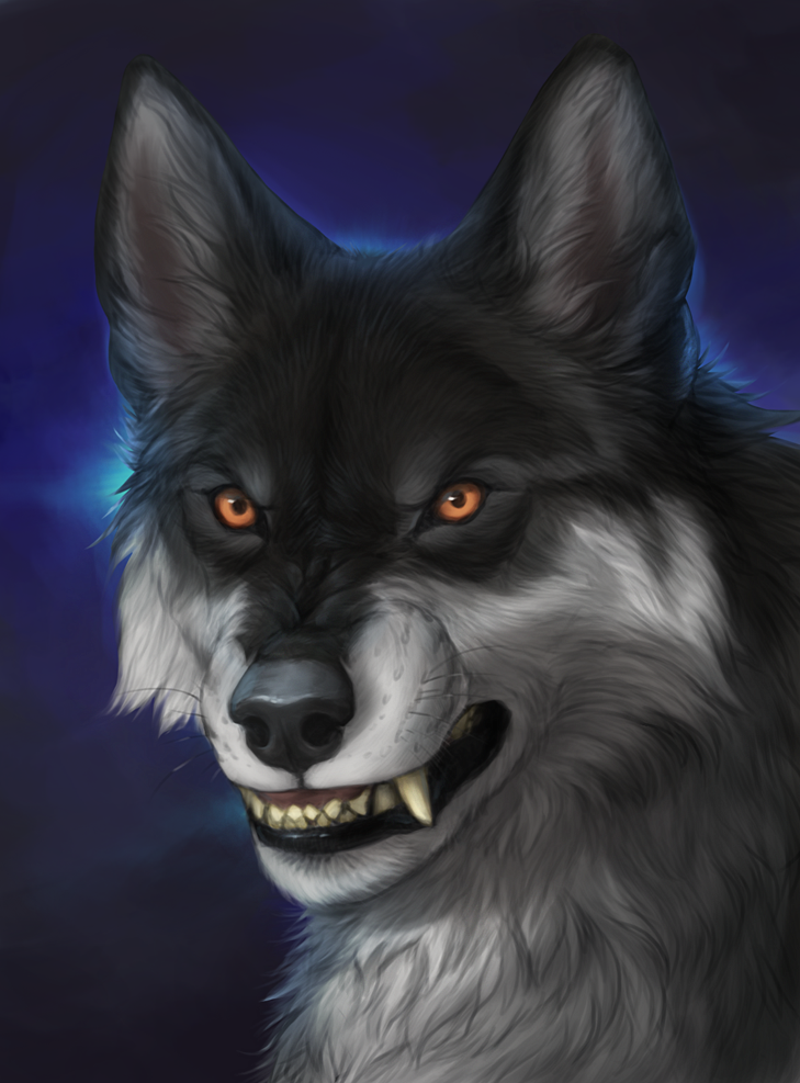 The Big ImageBoard (TBIB) - 2019 black body black fur black lips black nose canid canine canis ...