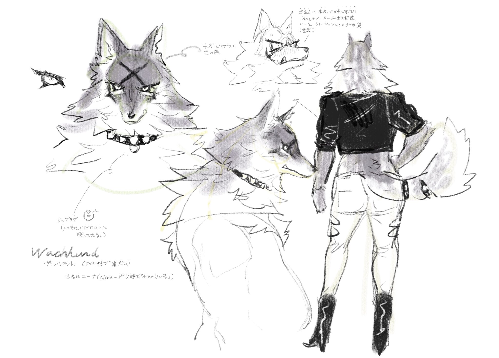 The Big ImageBoard (TBIB) - 2018 bebebebebe canid canine canis clothed ...