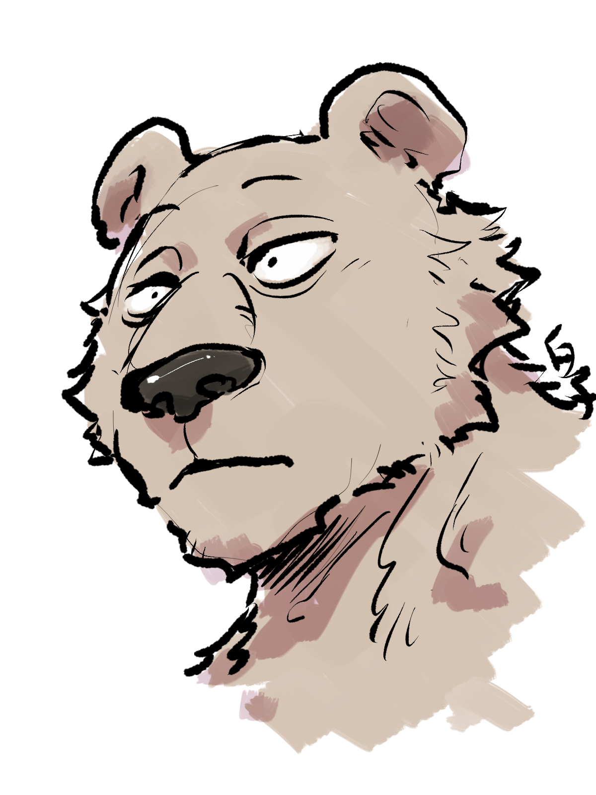 The Big ImageBoard (TBIB) - 2019 3:4 anthro bear beastars black nose ...